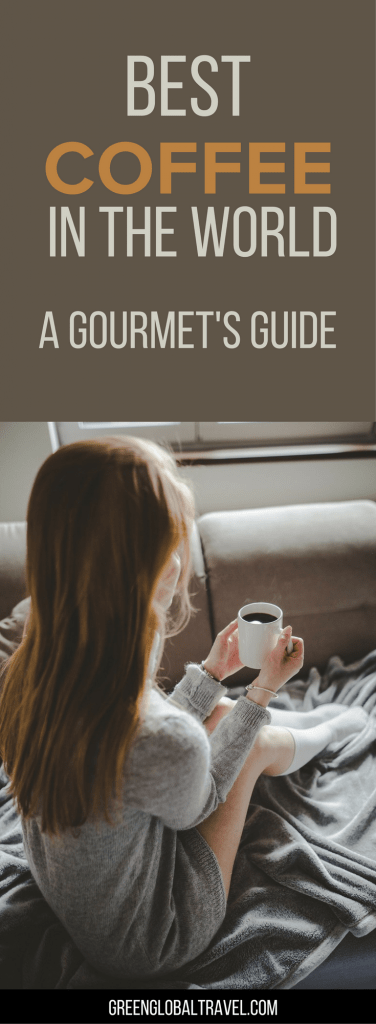 The Best Coffee In the World (A Gourmet's Guide to 30 Types of Coffee)