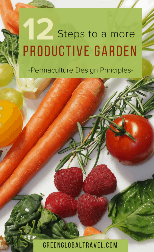 Permaculture Design Principles (12 Steps to a More Productive Garden)