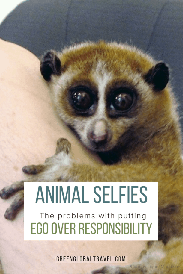 Animal Selfies: The Problem with Putting Ego Over Responsibility