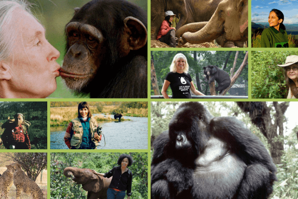 CONSERVATION - Green Global Travel