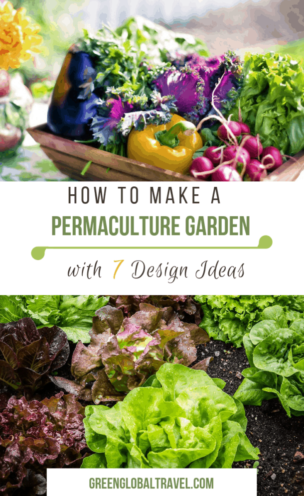 What Is Permaculture Gardening? An Intro to Permaculture Design and ...