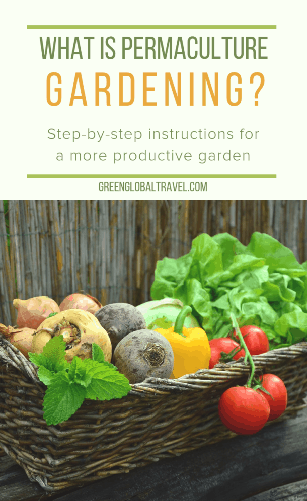 What Is Permaculture Gardening? An Intro to Permaculture Design and ...