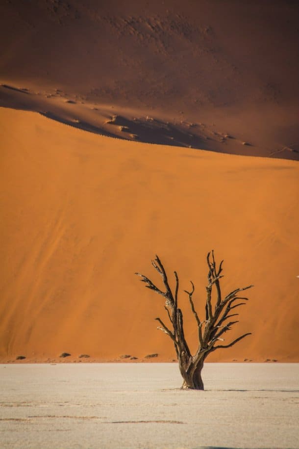 The 25 Biggest Deserts in the World (For Your World Travel Bucket List)