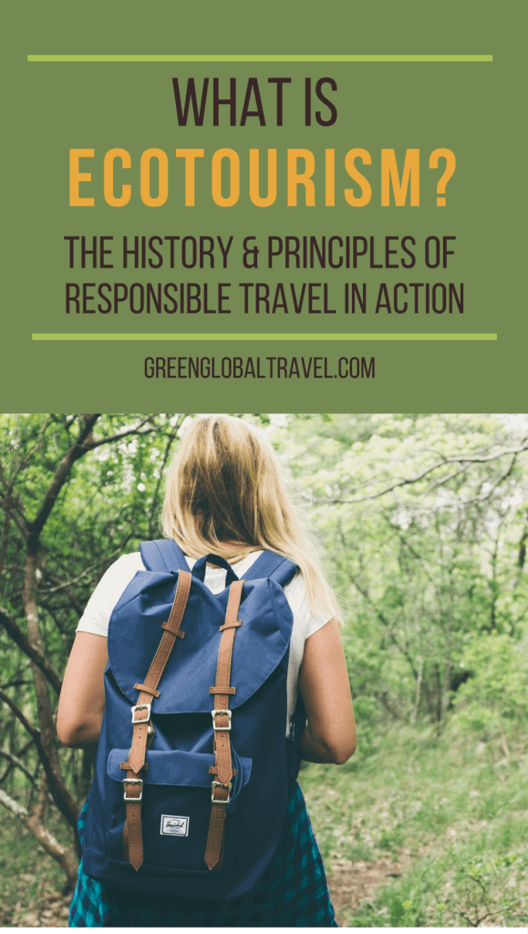 What Is Ecotourism? (The History & Principles of Responsible Travel)