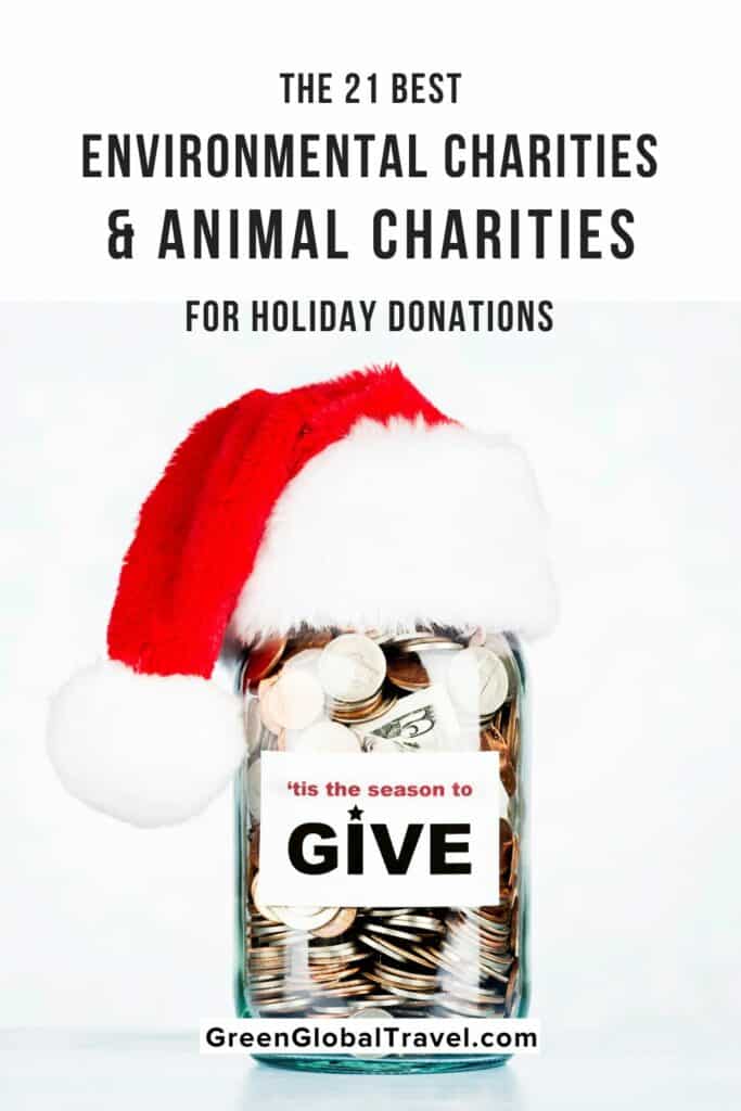 The 21 Best Environmental Charities & Animal Charities for Holiday ...