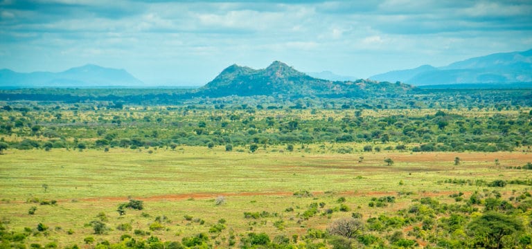 Meru National Park, Kenya (From George & Joy Adamson to Elsa's Kopje)