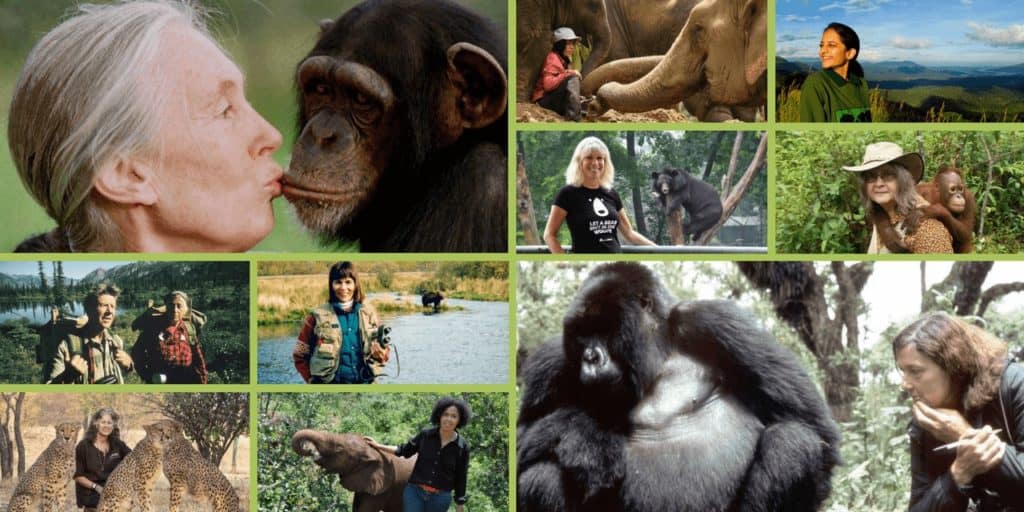 Top 15 Female Wildlife Conservationists & Animal Rights Activists