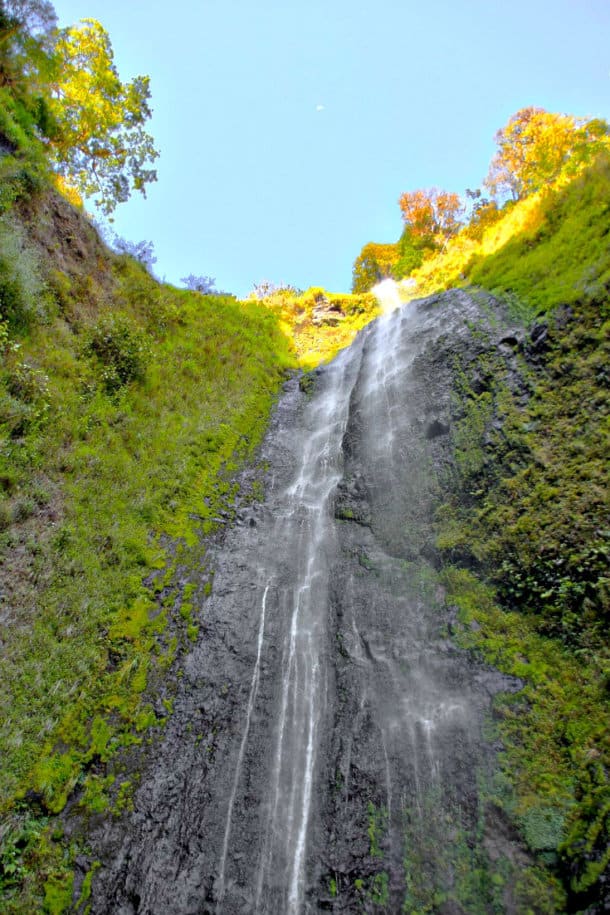 Isla de Ometepe: An Epic Guide to Nicaragua's Ometepe Island - Green ...