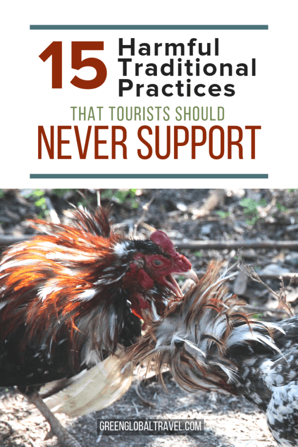 15 Harmful Traditions & Cultural Practices Tourists Should Never Support