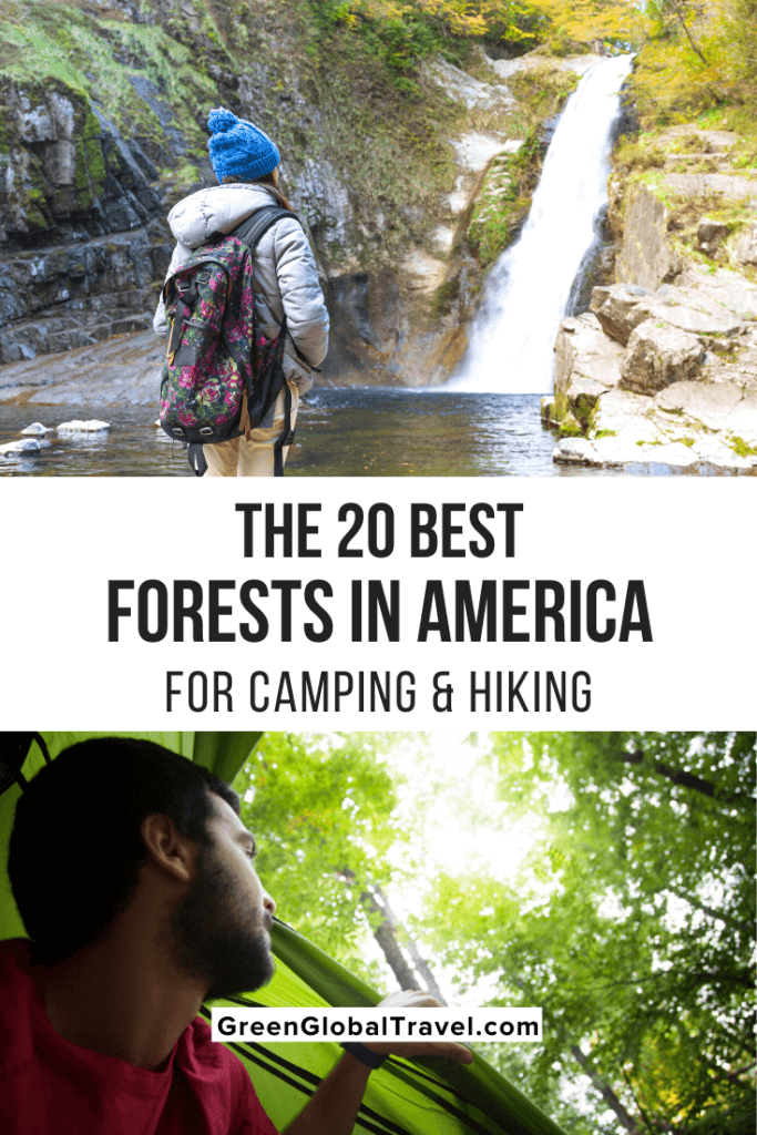 Top 20 National Forests in America for Camping & Hiking - Green Global ...