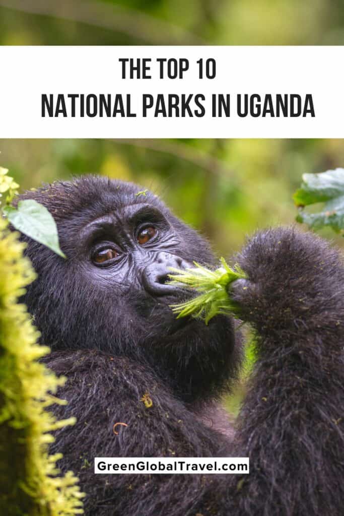 The Top 10 National Parks in Uganda to Visit - The Global Roamer ...